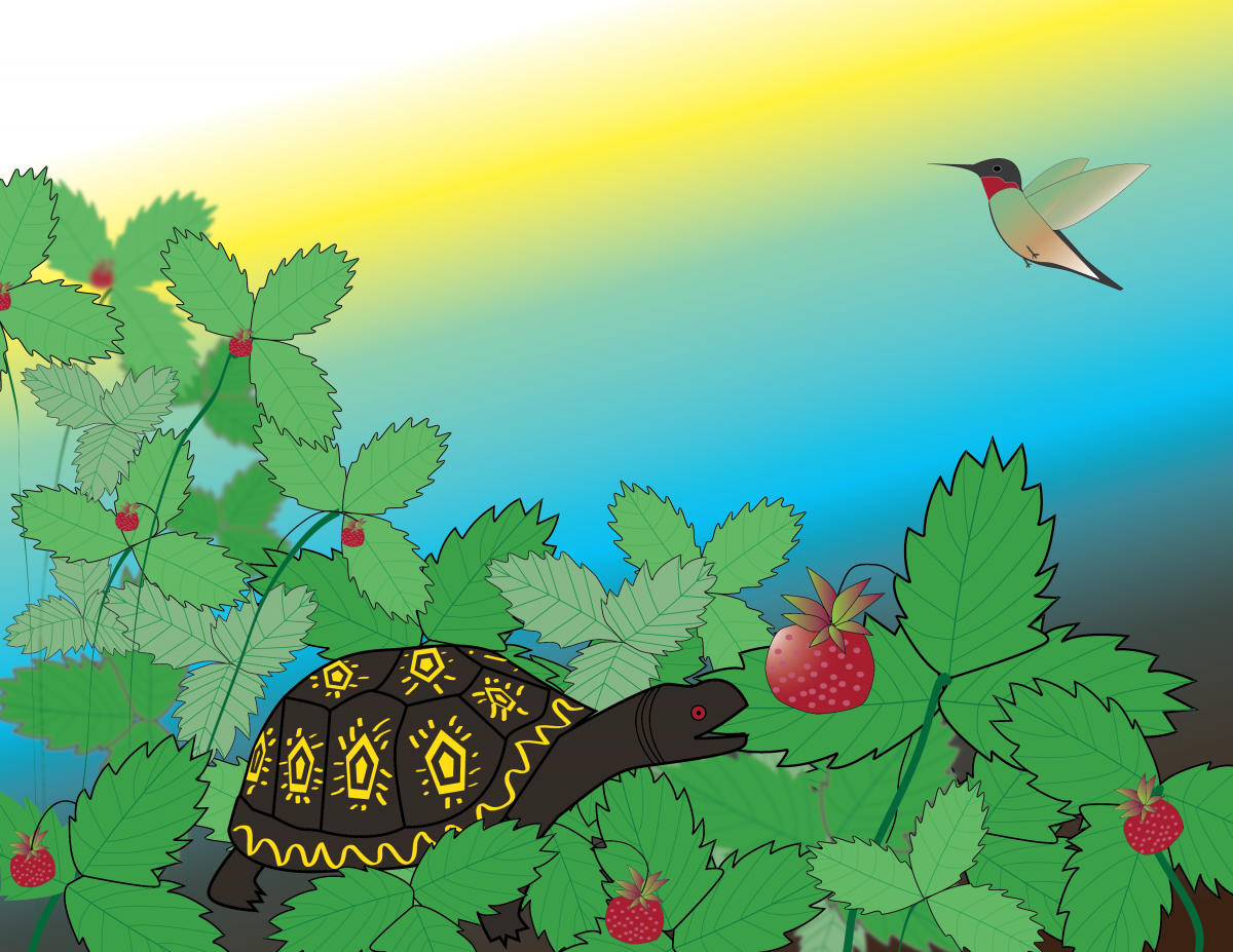 Native American | Hearth Moon Rising