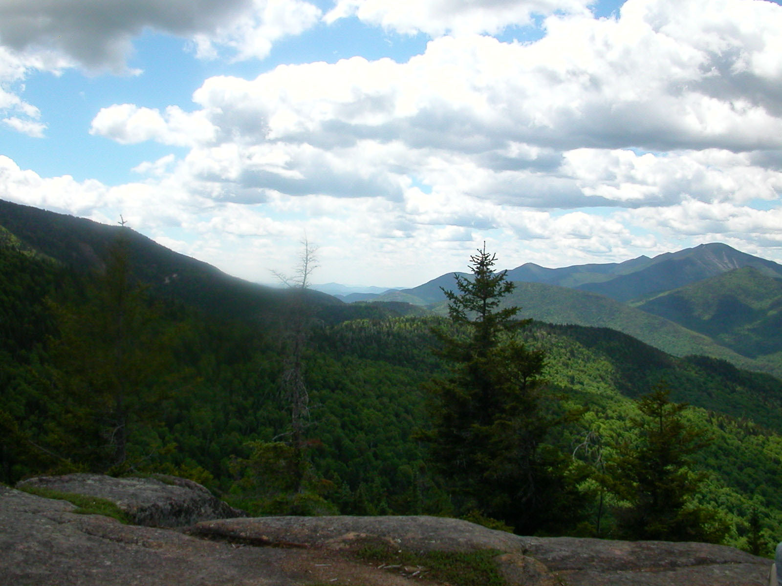 On Hopkins Mountain | Hearth Moon Rising