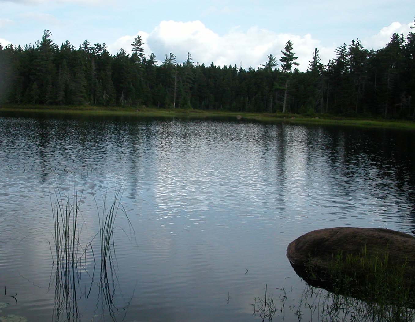 Lughnasadh on Black Pond | Hearth Moon Rising